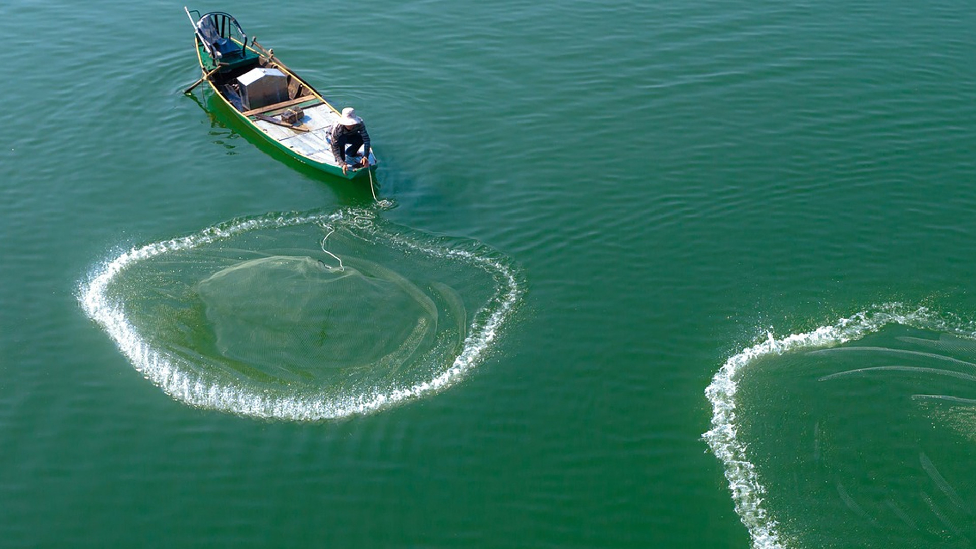 Biodiversity Economics | iDiv