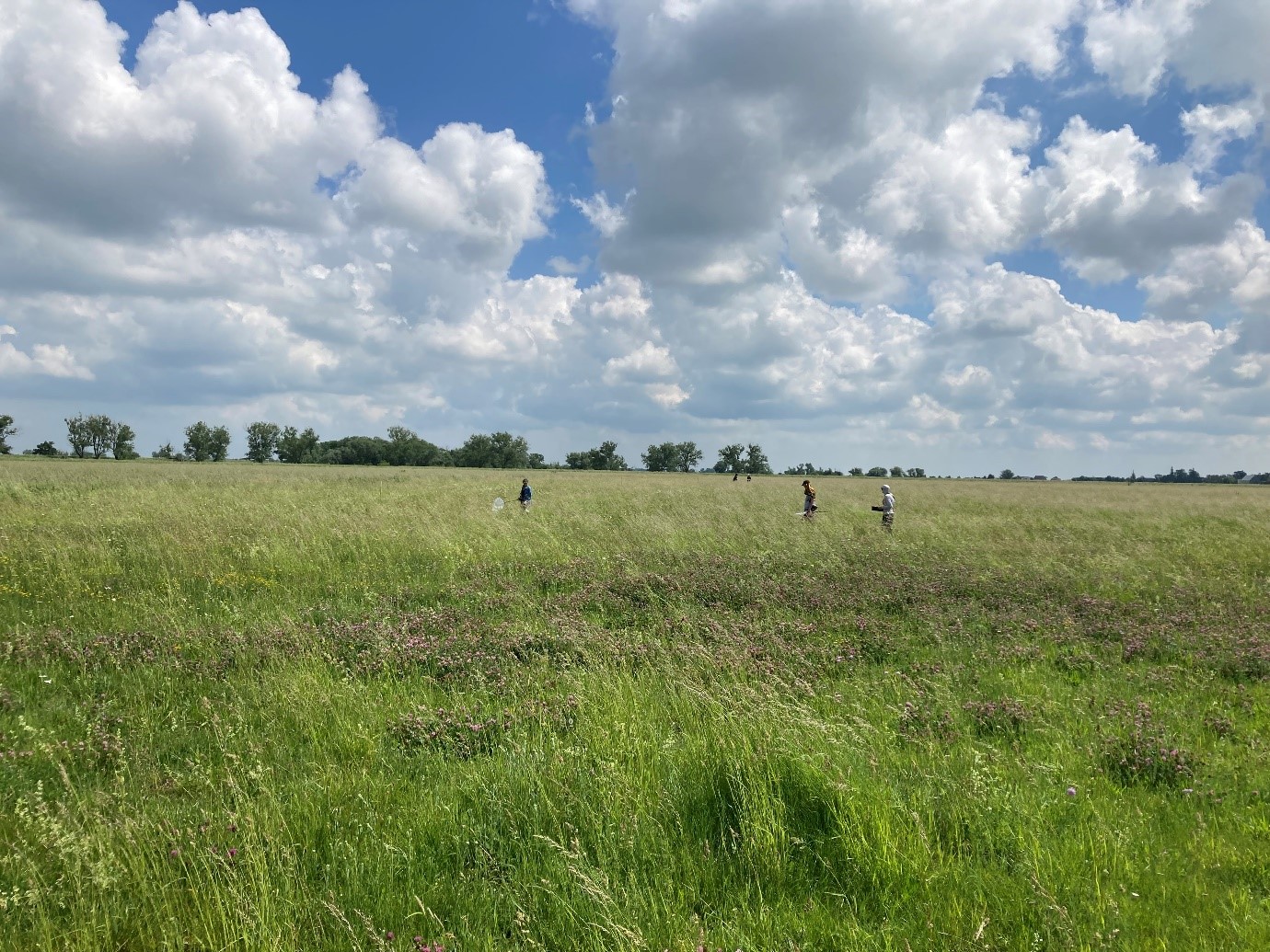 iDiv Summer School | iDiv